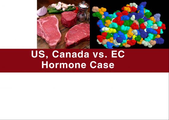 [국제 분쟁 사례] EC-호르몬사건 보고서 : US, Canada vs. EC Hormone Case - PPT자료