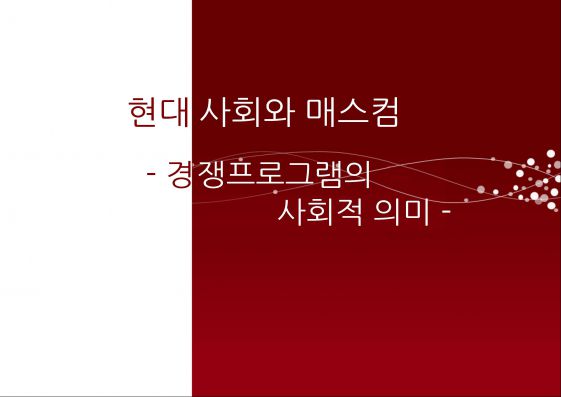 [현대사회와 매스컴]미디어와사회,경쟁프로그램,브랜드마케팅,서비스마케팅,글로벌경영,사례분석,swot,stp,4p