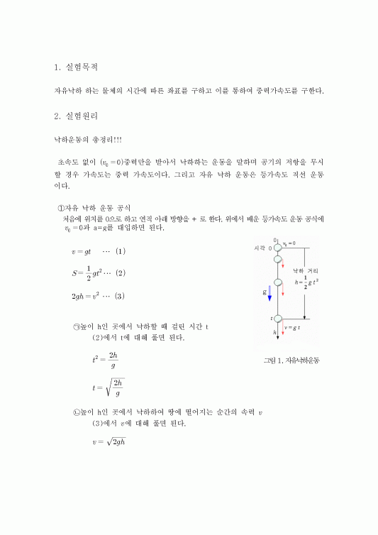 자유낙하 예비- 결과 보고서