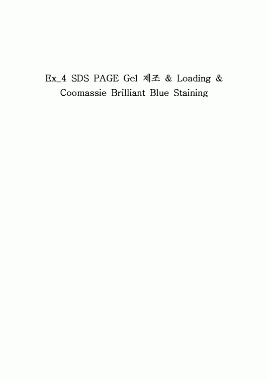 Ex4_SDS PAGE Gel 제조 & Loading & Coomassie Brilliant Blue Staining