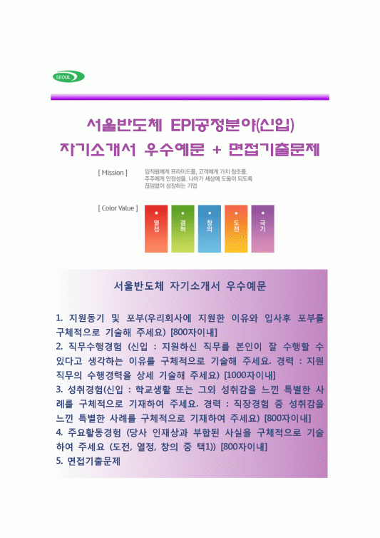 (서울반도체 자기소개서 + 면접기출문제) 서울반도체 (EPI공정분야) 자소서 합격예문 [서울반도체자소서첨삭항목]