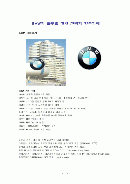 BMW의 글로벌 경영 전략과 향후 과제