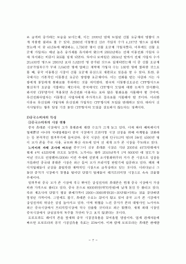 삼성 애니콜 중국진출 성공요인-7페이지