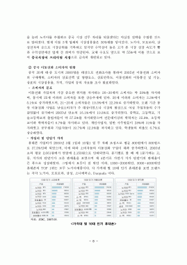 삼성 애니콜 중국진출 성공요인-8페이지