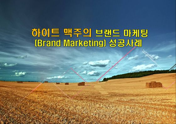 하이트 맥주의 브랜드 마케팅(Brand Marketing) 성공사례