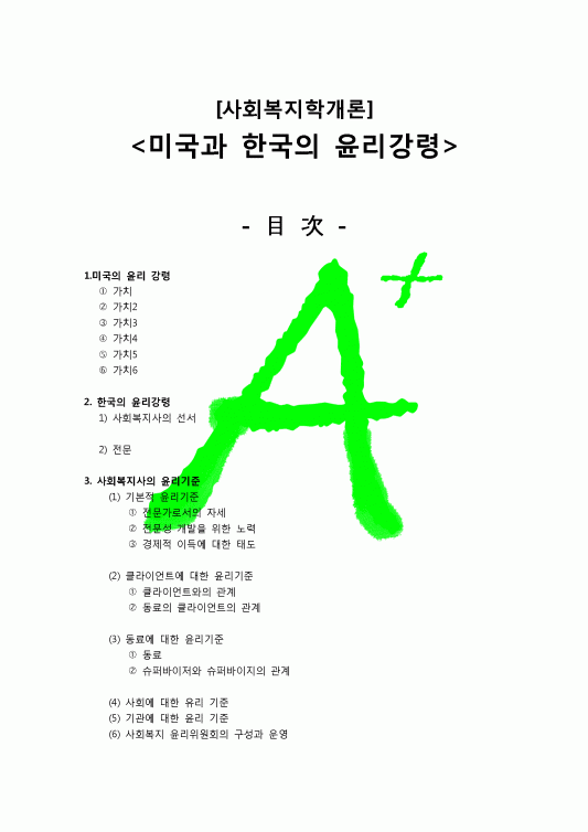 [프리미엄자료A++++++][사회복지학개론]- 미국과 한국의 윤리강령, 미국의 윤리강령, 한국의 윤리강령, 사회복지사의 윤리기준