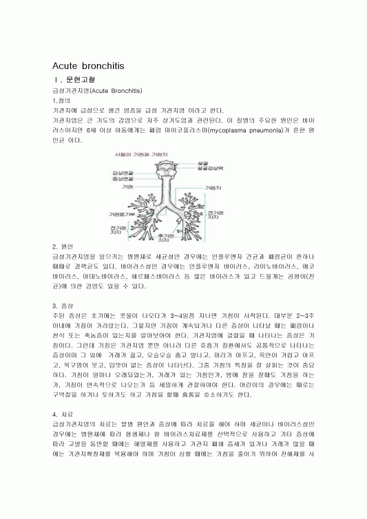 급성기관지염(Acute bronchitis) 간호과정 케이스 스터디 (case study)