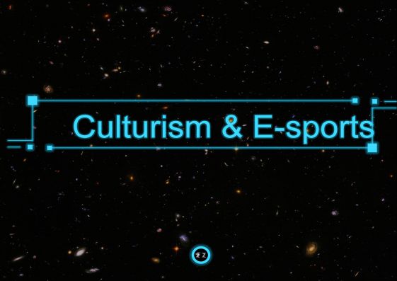 E-sports-컴퓨터 게임,이스포츠 게임,스포츠마케팅사례,문화주의란