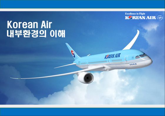 Korean Air-대한항공 겨영전략사례,대한항공 항공산업,내부환경의 이해,브랜드마케팅,서비스마케팅,글로벌경영,사례분석,swot,stp,4p