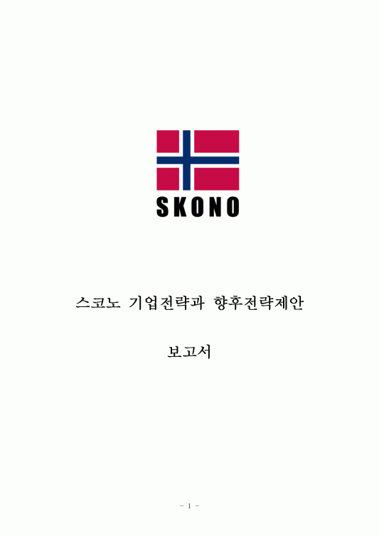 스코노 SKONO 기업분석과 한국시장진출 경영전략분석 및 스코노의 미래전략제안 레포트