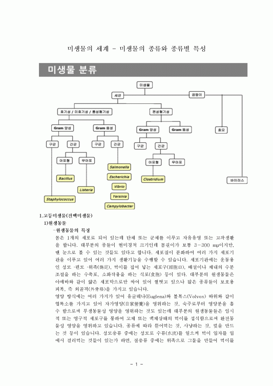 미생물의 세계 - 미생물의 종류와 종류별 특성