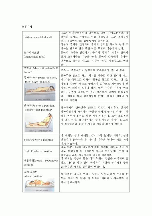 [아동간호학] 호흡,소화,순환기계 용어 정리 - 호흡기계, 소화기계 순환기계