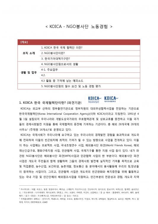 [직업사회학] 노동경험 KOICA-NGO(Korea International Cooperation Agency : 한국국제협력단 : 코이카) 봉사단