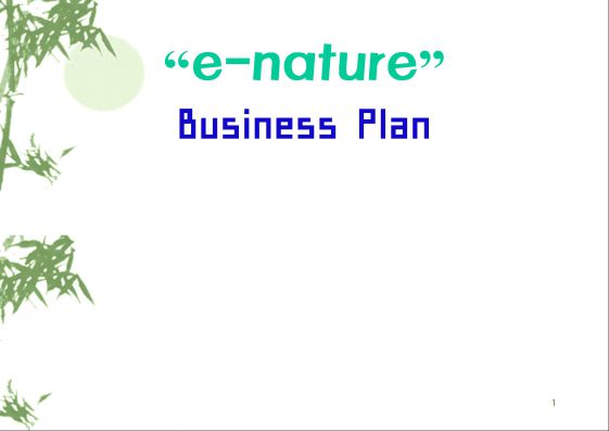 “e-nature” Business Plan 이네이처 비즈니스 플랜.ppt
