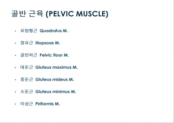 03. 골반 근육 (pelvic muscle)의 기시, 정지 , 작용 , TP사진, 기능적 단위 등.pptx
