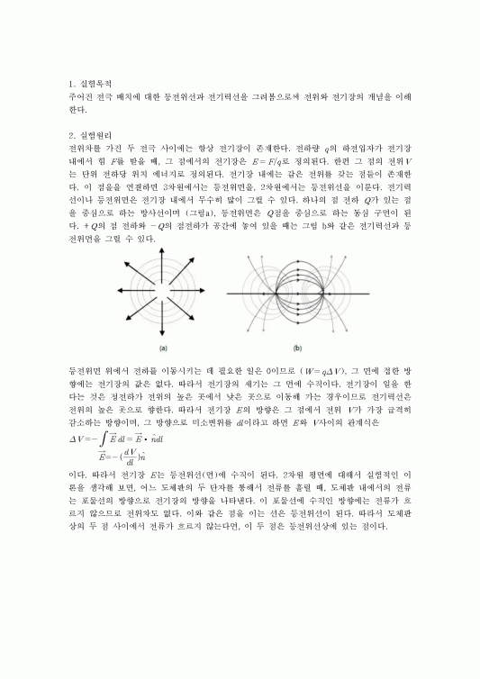 등전위선과 전기장 : 주어진 전극 배치에 대한 등전위선과 전기력선을 그려봄으로써 전위와 전기장의 개념을 이해한다