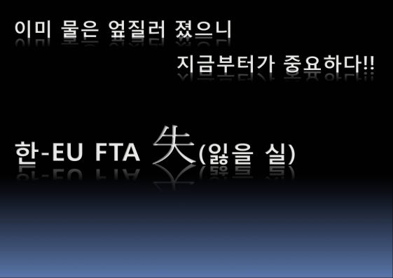 [한-EU FTA] 한국과 EU의 FTA 협상과정 및 시사점과 서비스 산업의 미래, 한국과 EU의 FTA 문제점, 한국과 EU의 FTA 전망.pptx