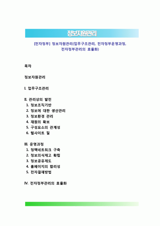 [전자정부] 정보자원관리 {업무구조관리, 관리상의 발전, 운영과정, 전자정부관리의 효율화}