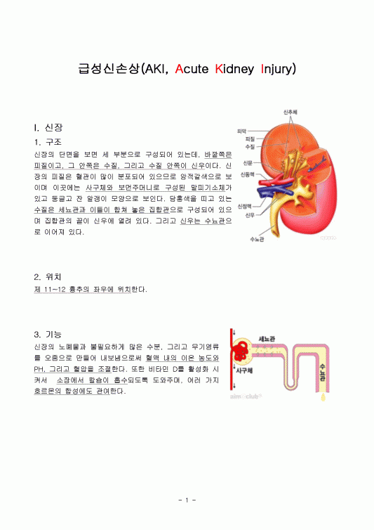 AKI 케이스