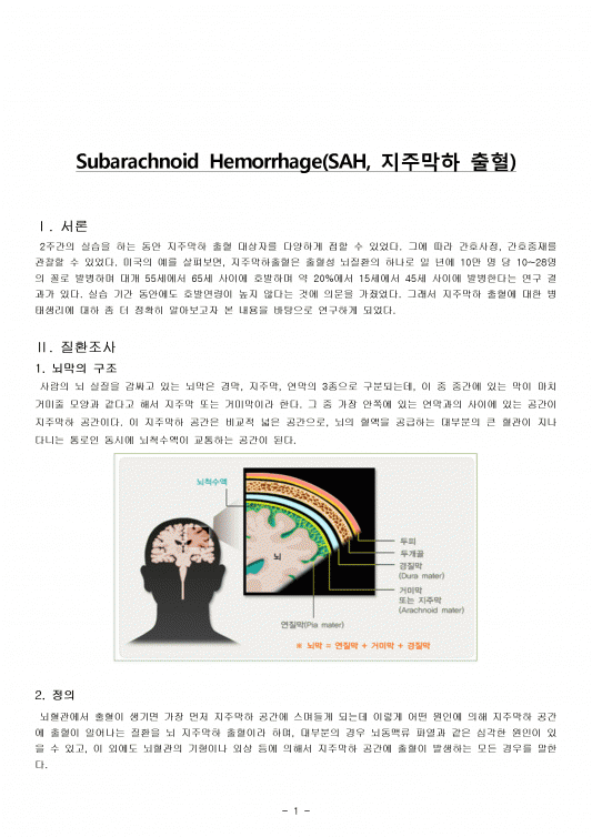 Subarachnoid Hemorrhage(SAH, 지주막하 출혈)