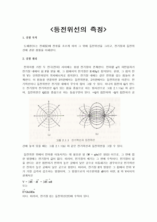 물리학및 실험2 등전위선측정-등전위선실험레포트