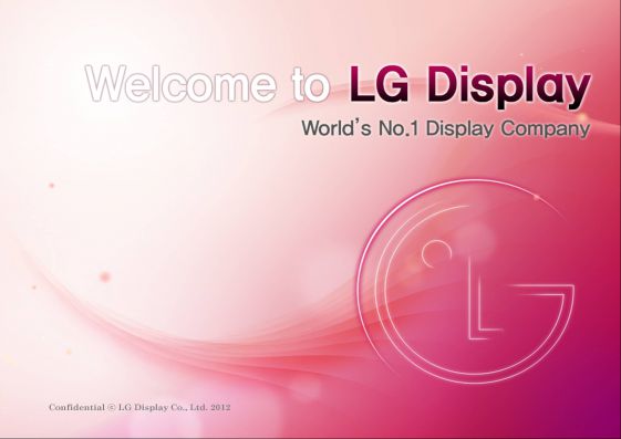 LG 디스플레이 기업 분석