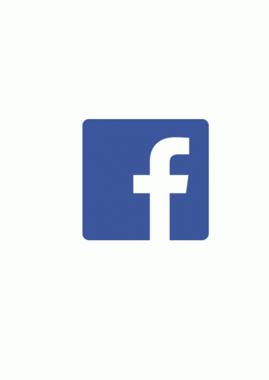 페이스북 Facebook 기업분석과 성공요인분석및 페이스북 SWOT분석과 한국진출 성공전략분석과 페이스북 향후전망