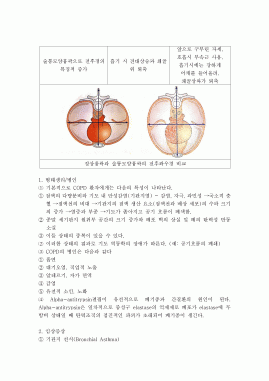 만성폐쇄성폐질환(COPD) 간호-3페이지