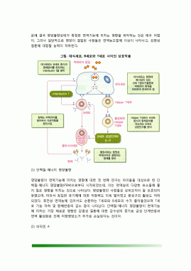 [면역과 영양] 면역기능의 개념(정의), 면역기능의 영양적 조절-4페이지