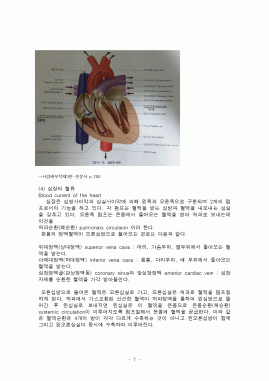 심장, 심장질환 레포트-8페이지