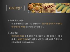 GMO란 무엇인가,유전자 변형 농수산물 GMO,다양한 GMO의 개발 가능성,의료분야의 활용,유전자 조작 식물 백신 연구,유전자 변형 먹거리(GMO)의 진실-3페이지