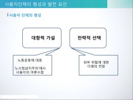 사용자와 개별사용자,한국 사용자 단체의 조직과 활동,노사관계 전략,노사관계시스템,대한 상공 회의소,한국 무역 협회-6페이지