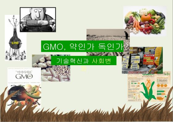 GMO,기술혁신과 사회변화,유전자변형식품,GMO의 종류,유전자 변형과정,GMO의 현황