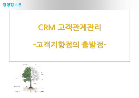 경영정보론,CRM 고객관계관리,고객지향점,CRM 개념 및 의의,CRM 도입 과정 목적 효과,성공적인 CRM 도입 사례 소개,-CRM(고객관계관리)이란,CRM의 도입배경,CRM 효과 설명