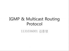 IGMP & Multicast Routing Protocol-1페이지