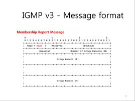 IGMP & Multicast Routing Protocol-17페이지