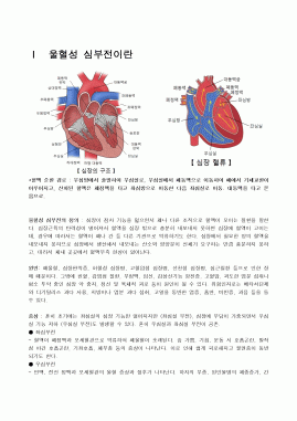 성인간호학 - 울혈성 심부전 ( 울혈성 심부전, Acorn Cardiac Support Device, 간호과정, 느낀점 )-2페이지