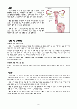 자궁내막암 케이스 간호과정-2페이지