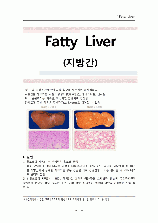 지방간 (Fatty Liver)
