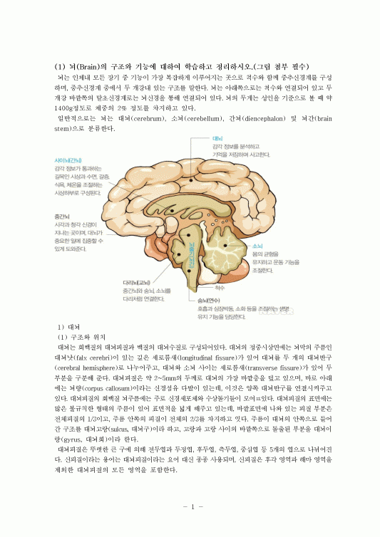 간호,사전 학습,신생아 중환자실,NICU