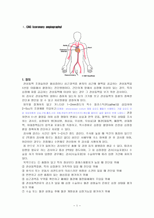 CAG 관상동맥 조영술, PTCA 경피적 관상동맥 성형술 A+