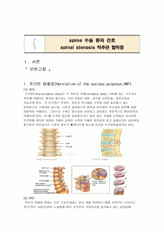 spine 수술 환자 간호 (척추관 협착증 케이스,spine케이스, spinal stenosis 간호과정, spinal stenosis 케이스, 척추관 협착증 간호과정, 척추관 협착증 CASE )
