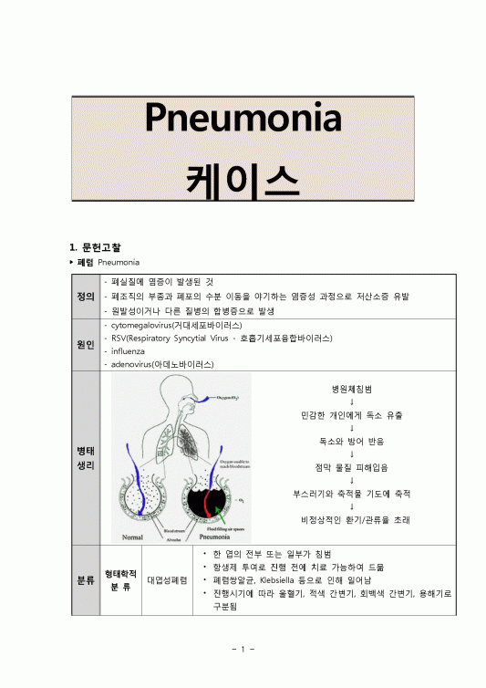 Pneumonia 케이스