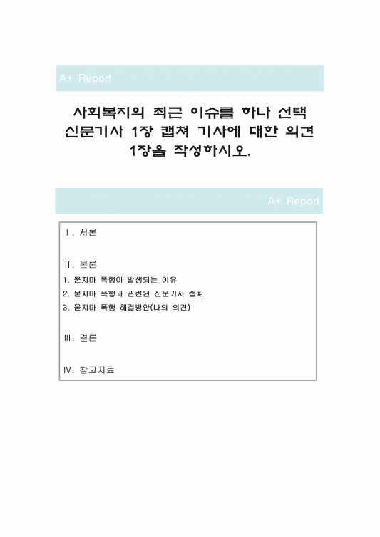 사회복지의 최근 이슈를 하나 선택 신문기사 1장 캡쳐 기사에 대한 의견 1장을 작성