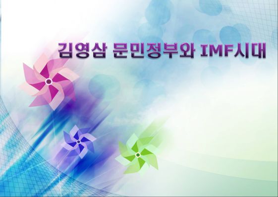 김영삼 문민정부와 IMF시대