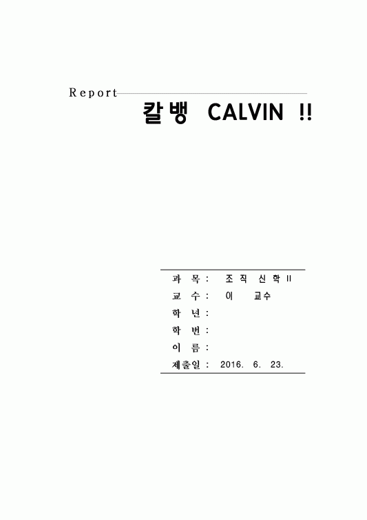 칼뱅 Calvin