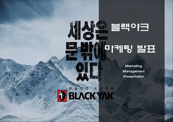 블랙야크 기업분석과 SWOT분석및 블랙야크 마케팅전략분석과 블랙야크 프로모션 전략제언 PPT