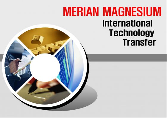 MERIAN MAGNESIUM - International Technology Transfer