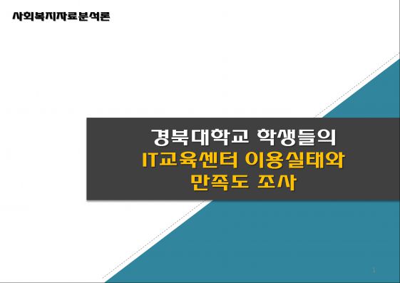 [사회복지] [사회복지 자료 분석론] 경북대학교 학생들의 IT교육센터 이용실태와 만족도 조사 [ IT교육센터 이용실태 연구 IT교육센터 이용실태 연구 방법]