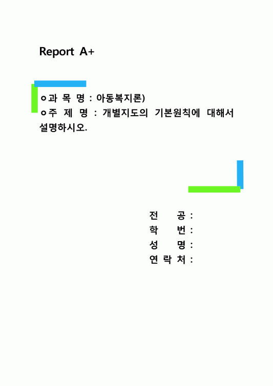 아동복지론)개별지도의 기본원칙에 대해서 설명하시오